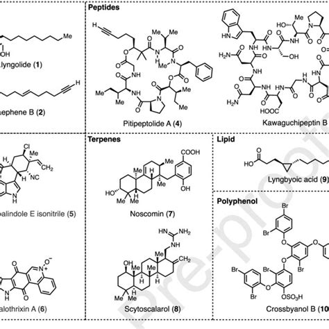 Chemical Structures Of Selected Antibacterial Compounds Produced By