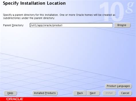 oracle base oracle 10g release 5 grid control agent installation on linux