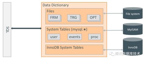 mysql 8 0 数据字典最强解读 不言不语技术 博客园