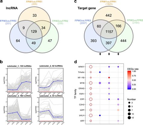 Comparative Transcriptome Analysis Uncovers The Regulatory Functions Of
