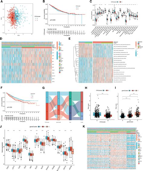 Frontiers Identification Of Cuproptosis Based Molecular Subtypes