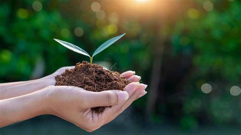 7 Acciones Para Combatir La Contaminación Ambiental Ambiente Stereo