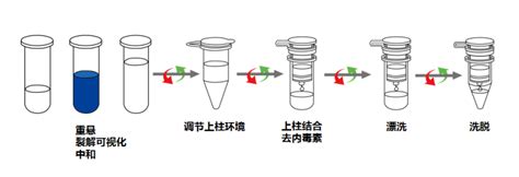 Fastpure Endofree Plasmid Mini Plus Kit 柱式法提取 产品中心 南京诺唯赞生物科技股份有限公司