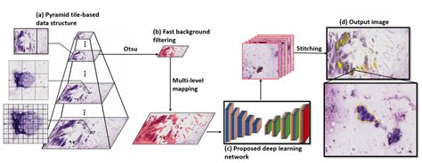 The Overview Of The Proposed Deep Learning Analysis System A Each