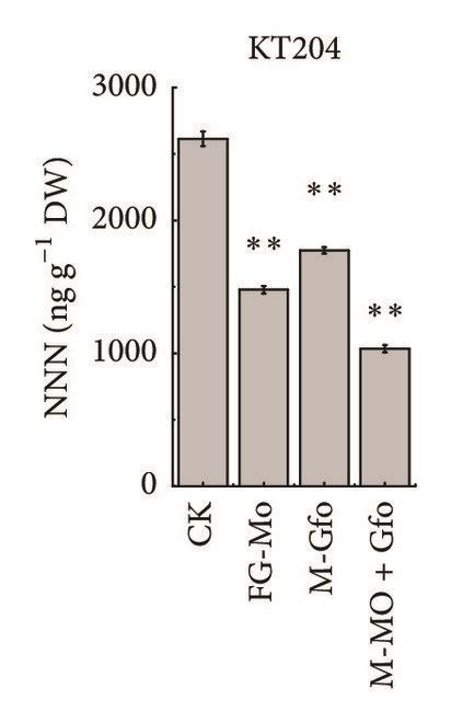 Effects Of Chemical Regulation On Nnn Nab Nat Nnk And Total Tsna