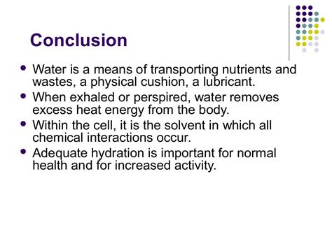 Importance Of Water To Human Beings