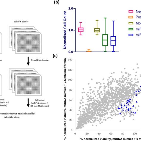 Schematic Of High Throughput Screen Of Mirna Mimics Summary Of Data