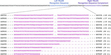 Insertion Mutations At The Ccr5 Locus Identified By Ngs The Wild Type