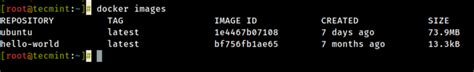 install docker and learn basic container manipulation in centos and