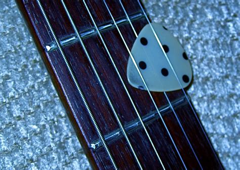 Free Images Musical Instrument Blue Slide Guitar Plucked String