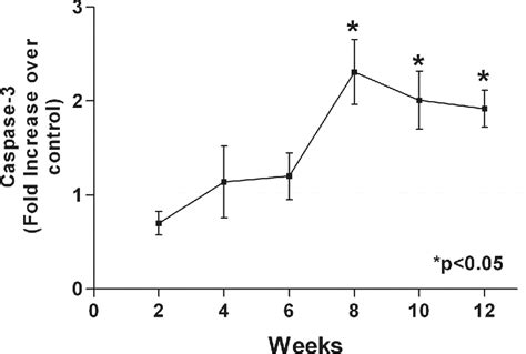 Figure 5 From Early Detection Of Doxorubicin Cardiomyopathy Using Two
