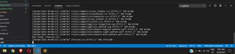 getting weird character in git terminal of vs code stack overflow