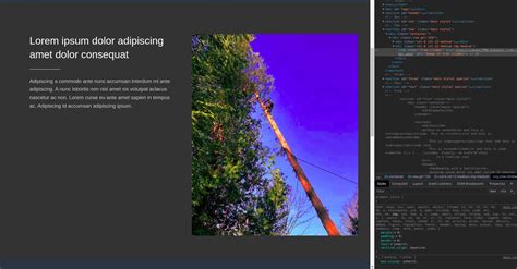javascript how can i scale my image down with the size