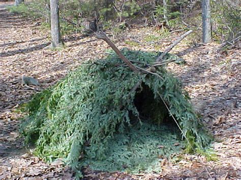 Wilderness Survival And Outdoors Types Of Shelter