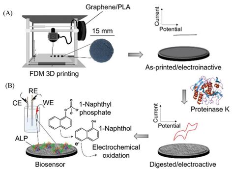 Biosensors Free Full Text Application Of Functionalized Graphene