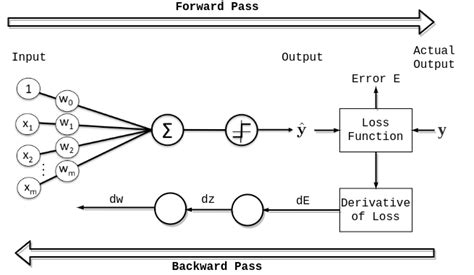 bias update in neural network backpropagation baeldung on computer