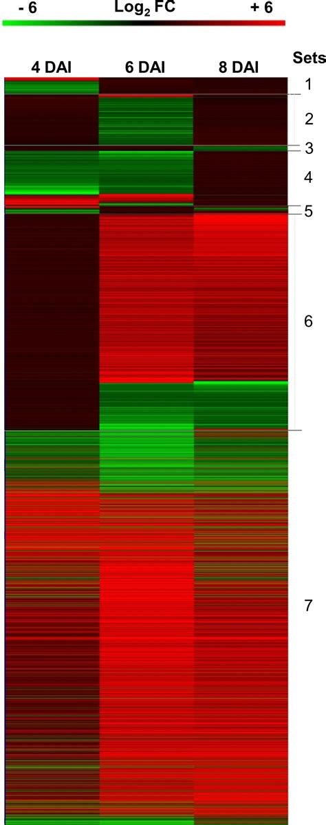Heat Map Showing Expression Profiles Of Deg Sets Identified By The Venn