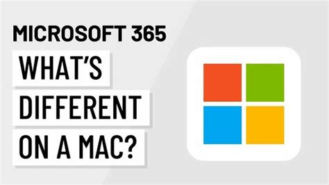 Microsoft 365 1 Bin Video Yandexte Bulundu