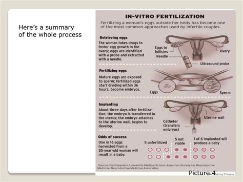 Ppt In Vitro Fertilization Ivf Powerpoint Presentation Free