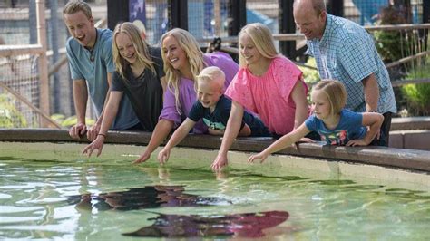 Seaworld San Antonio Discount Tickets﻿ 🐋 Save Up To 72 Off