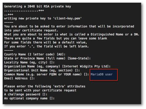how to set up mariadb ssl and secure connections from clients nixcraft