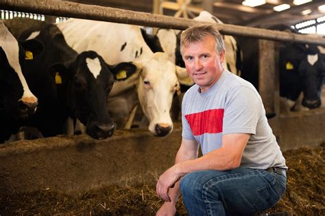 Feed The Rumen Microbes For Improved Feed Efficiency In Dairy Herds