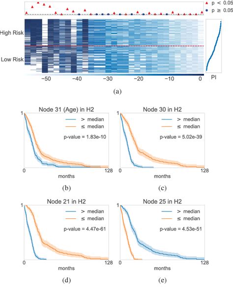 [pdf] Cox Pasnet Pathway Based Sparse Deep Neural Network For Survival
