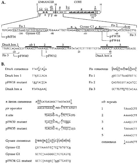 A Diagram Of The Origin Including Enhancer And Core Symbols Are