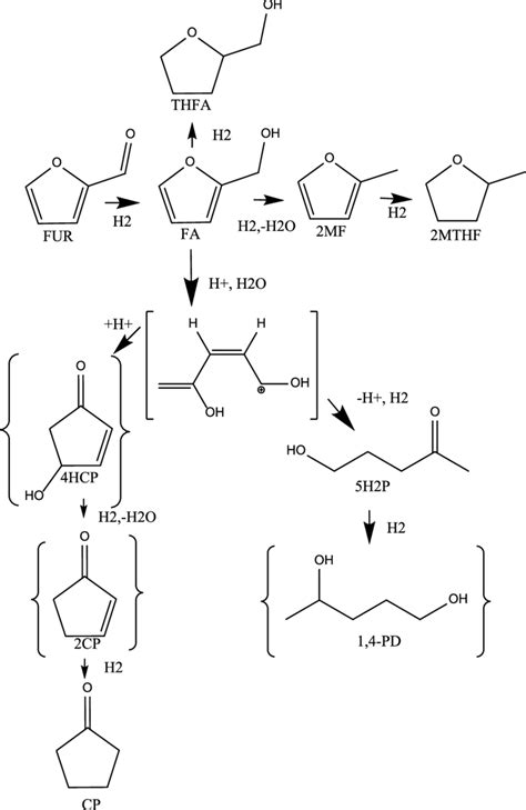Speculative Pathway For Furfural Fur Hydrogenation Dehydration And
