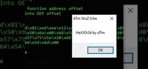 security oriented c tutorial 0xf8 pe file infection null byte