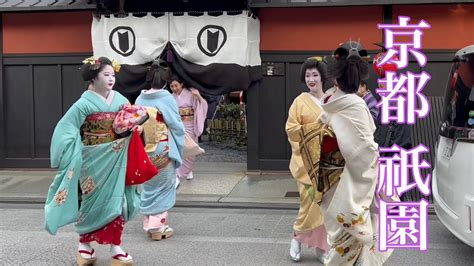 【4k】京都祇園 花見小路を往く舞妓さんたち Maiko And Geisha In Gion 2023年3月 Youtube