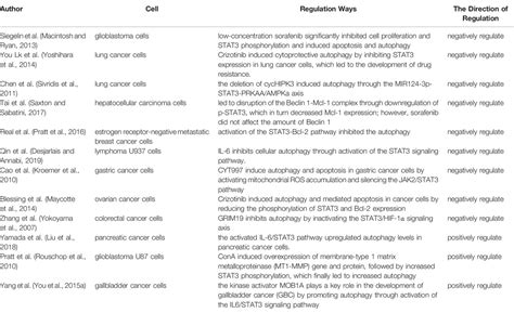 Frontiers The Interaction Between Autophagy And Jak Stat3 Signaling
