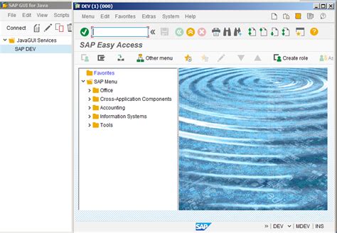 sap gui for java installation and configuration sap blogs