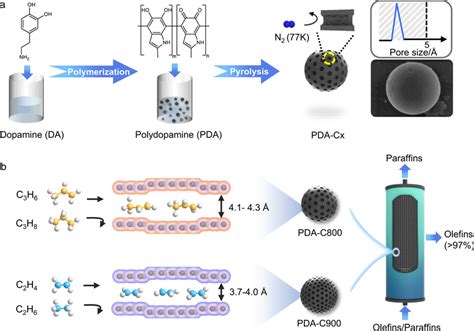 Formation Process And Gas Sorption Properties Of Pda Cx A Schematic