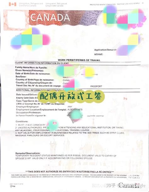 加拿大境内配偶工签网申6个月获批，真“牛（慢）” 知乎