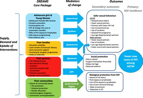 evaluating the impact of the dreams partnership to reduce hiv incidence
