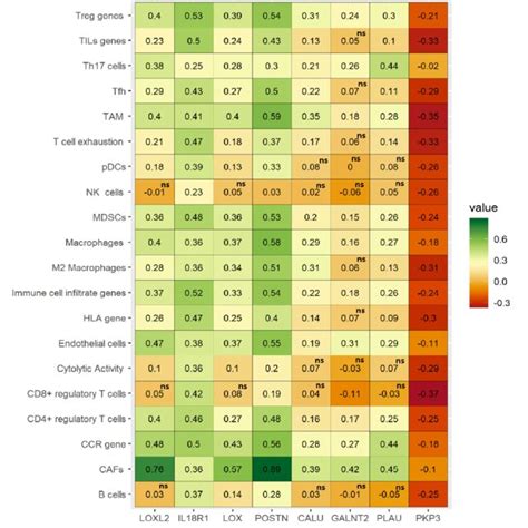 The Correlation Of Tumor Microenvironment Associated Genes With Immune