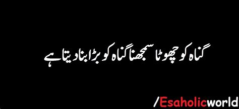 pin by good2jee on urdu batain poetry quotes arabic calligraphy