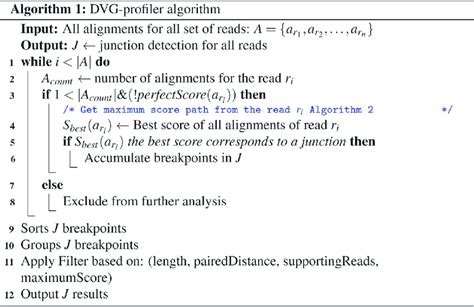 algorithm 1 pseudocode of dvg profiler the input of the algorithm is a