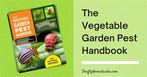 The Vegetable Garden Pest Handbook
