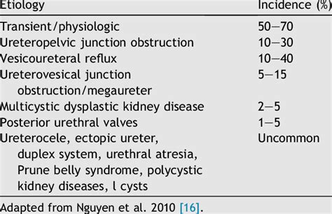 Etiology Of Urinary Tract Dilation Detected On Antenatal Ultrasound