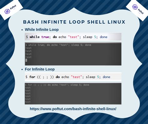 bash infinite loop shell linux poftut