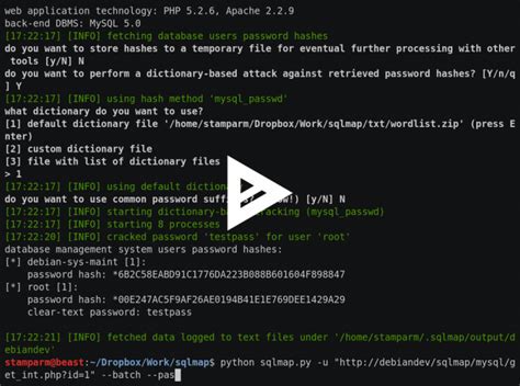 automatic sql injection and db takeover tool sqlmap cyberpunk