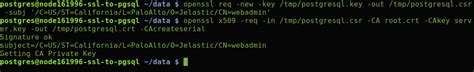 postgresql ssl client certificate memphispin