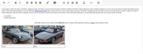 text datatypes pimcore development documentation