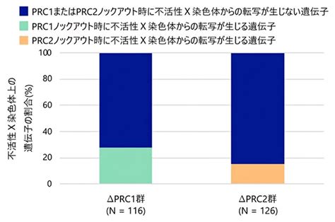X染色体不活性化の維持のメカニズムを解明～ポリコーム複合体prc1とprc2がそれぞれ必須な役割～ テック・アイ生命科学