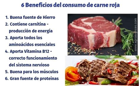 Agroavances Beneficios De Consumir Carnes Rojas Beneficios De