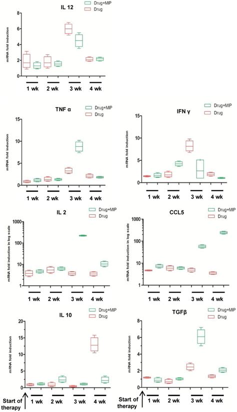 The Expression Level Of Mrnas For Different Cytokines Were Measured By