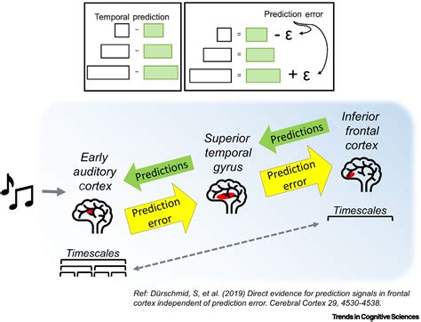 Intrinsic Neural Timescales Temporal Integration And Segregation