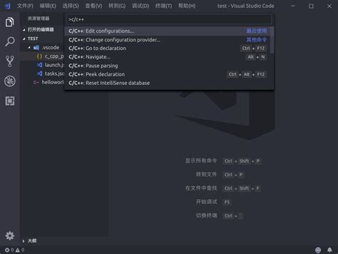 linux下vscode的c 工程配置 csdn博客